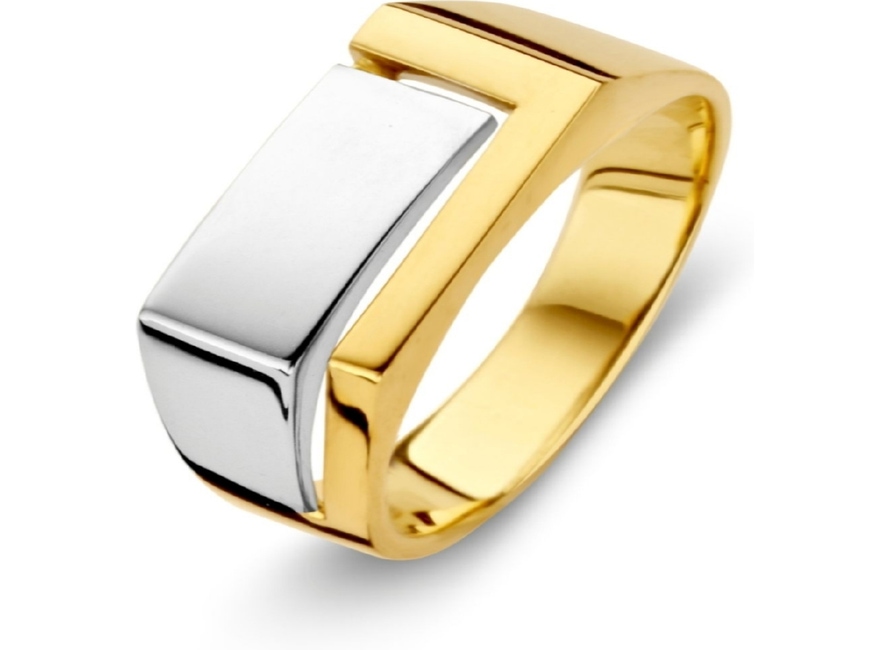 Excellent Jewelry RF401114 14k bicolor herenring